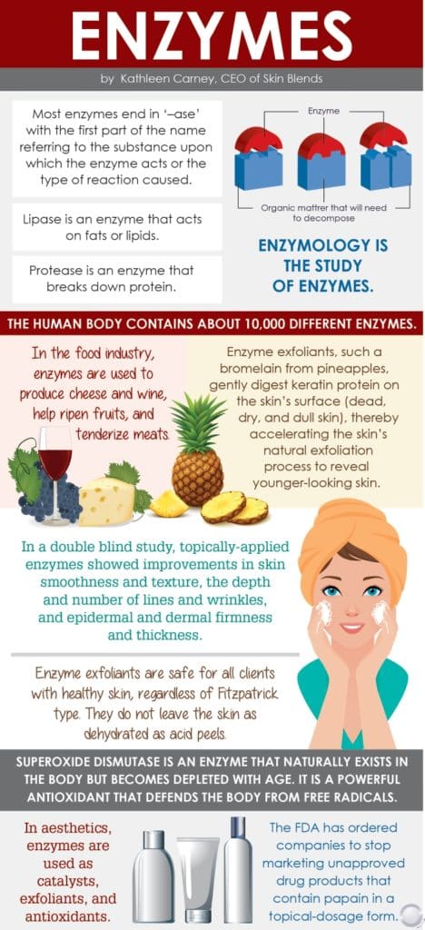 Enzymes Infographic - dermascope
