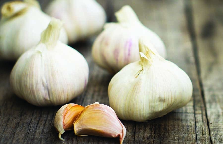 April is National Garlic Month! - dermascope