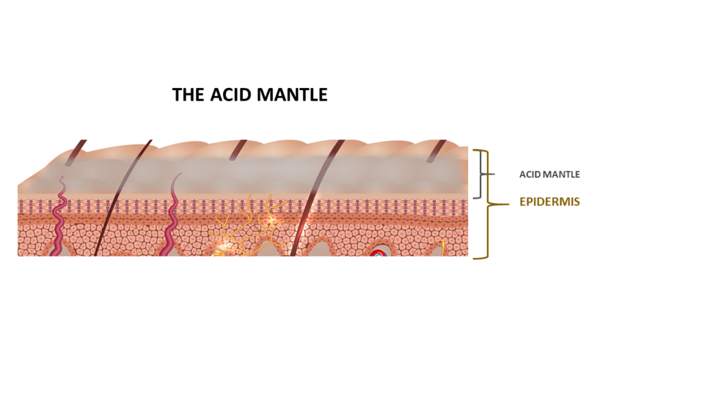 Skin’s Outermost Defense Mechanisms: The Microbiome, Acid Mantle, and ...