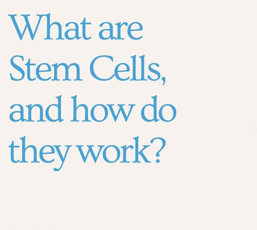 What are Stem Cells, and How do They Work? - dermascope